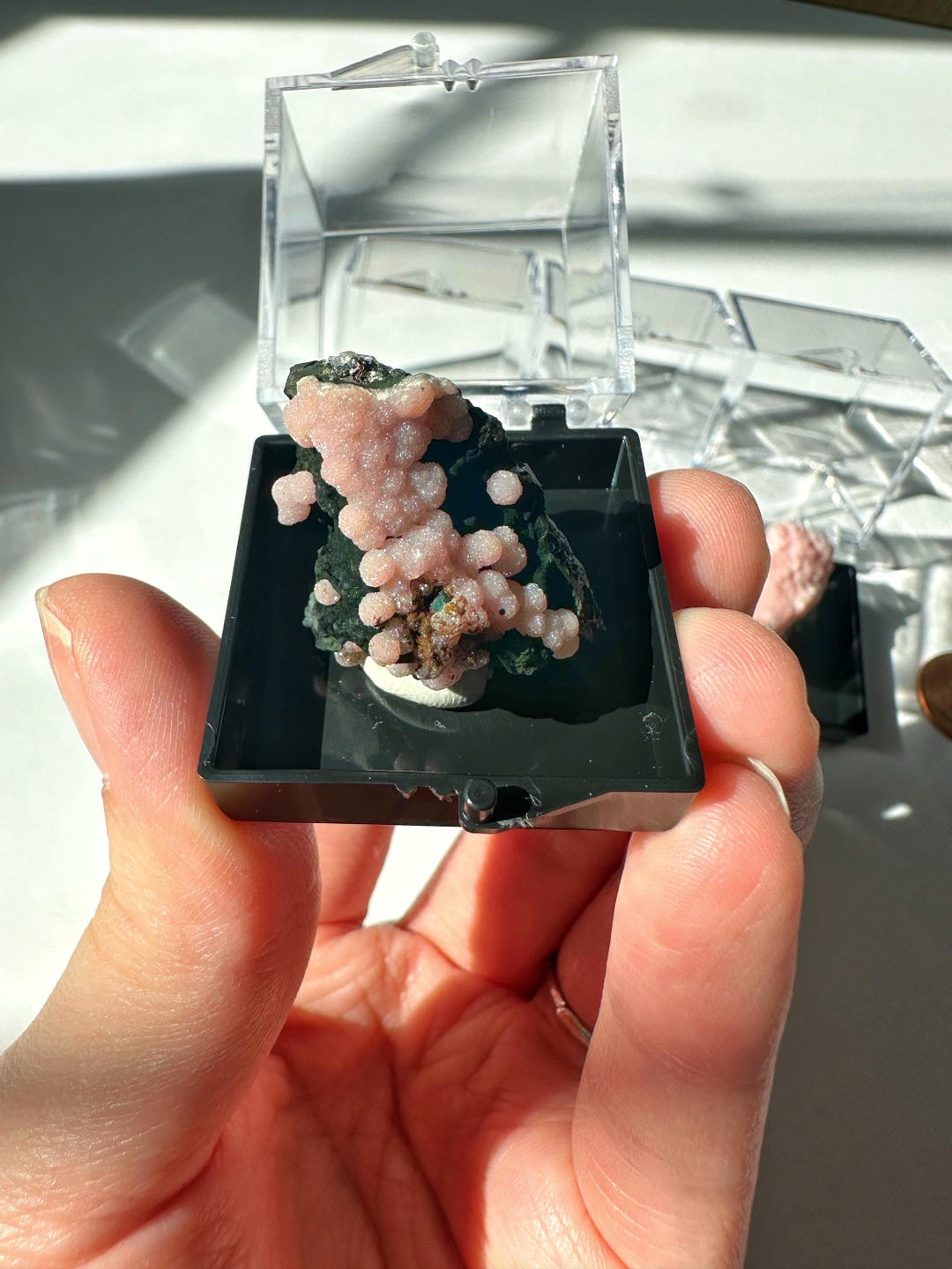 Bubble Gum Pink Botryoidal Rhodochrosite Specimens W/perky Box - Etsy