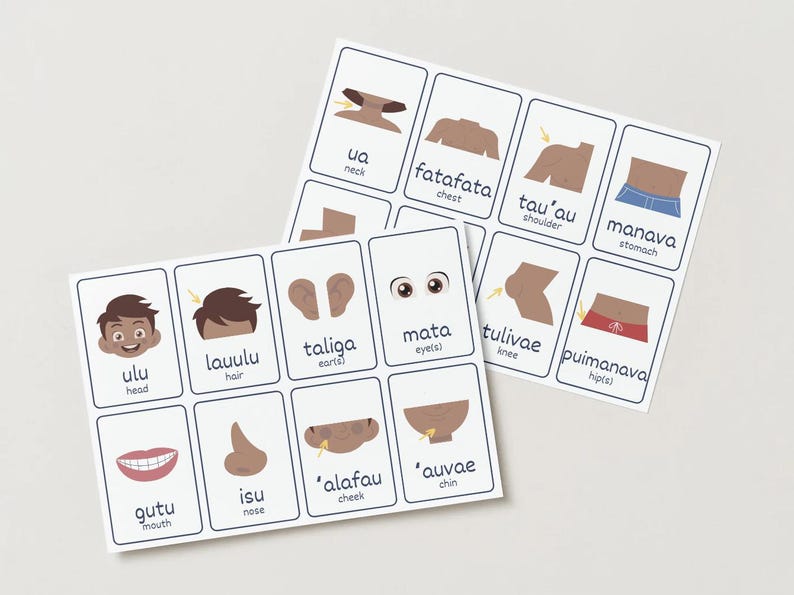 Gagana Samoa Body Parts Flashcards | Learning Samoan | Printable ...