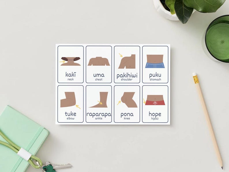 Te Reo Māori Body Parts Flashcards | Learning Māori | Printable ...
