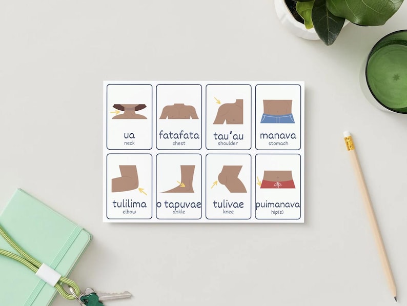 Gagana Samoa Body Parts Flashcards | Learning Samoan | Printable ...