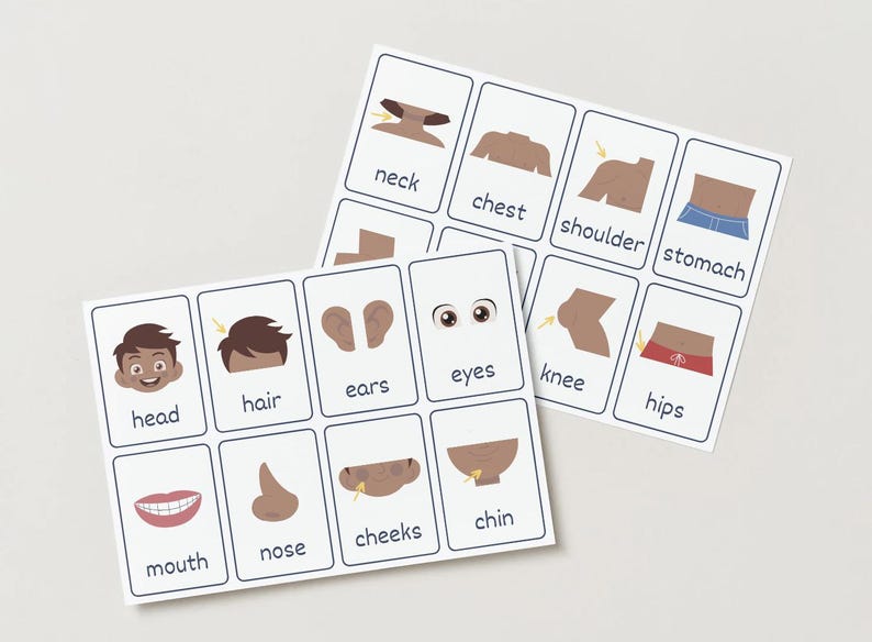 Body Parts Flashcards | Learning | Printable Flashcards | Digital ...