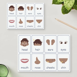 Body Parts Flashcards | Learning | Printable Flashcards | Digital ...