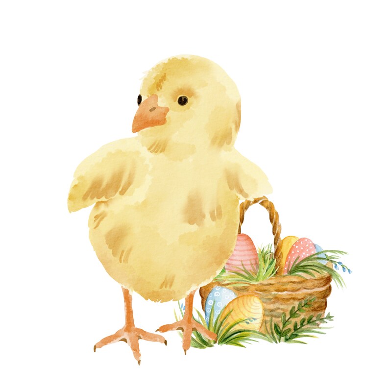 Easter Chick Spring Watercolor Digital Download PNG - Etsy