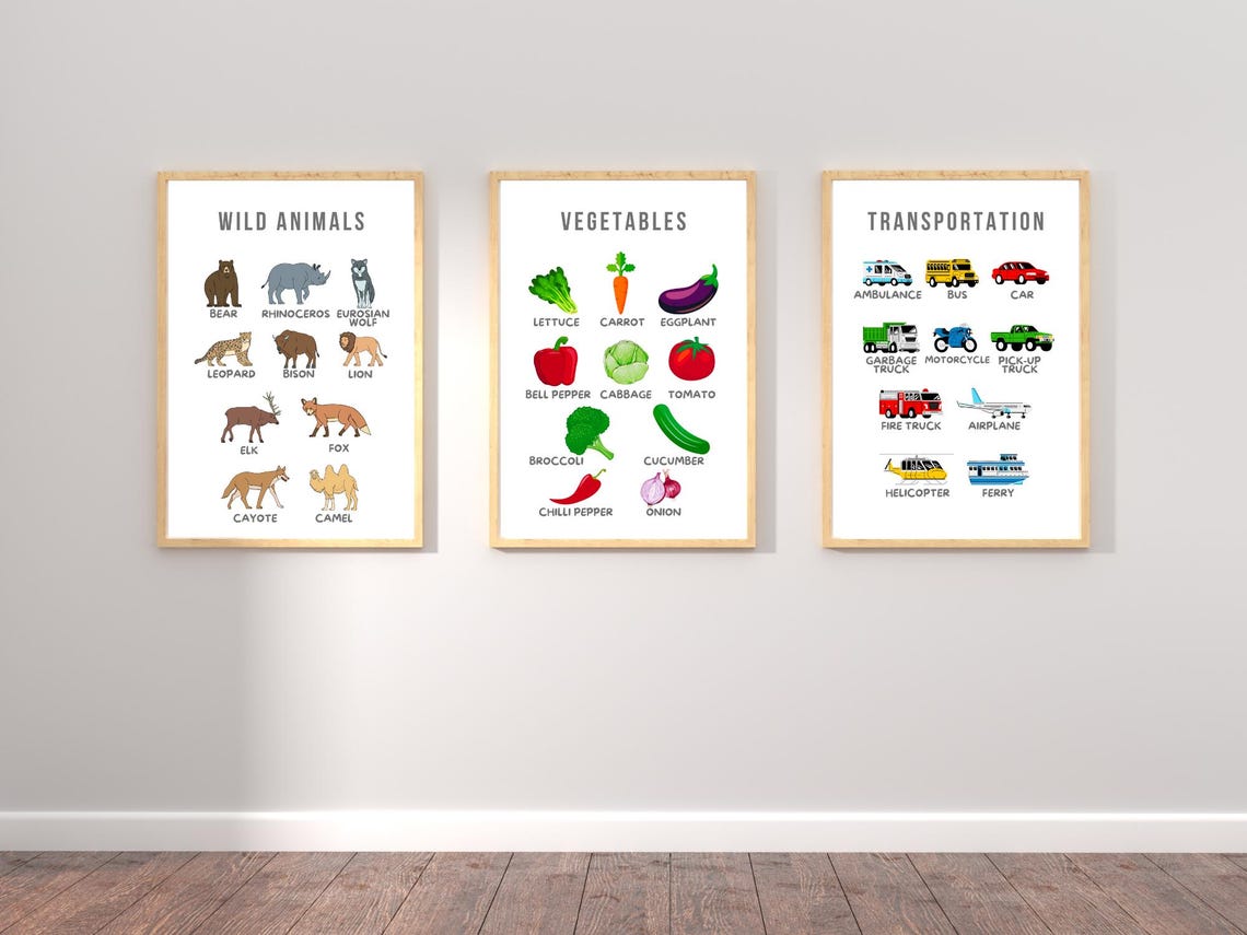 20 Educational Posters for Kids, Homeschool Learning Wall Art Decor ...