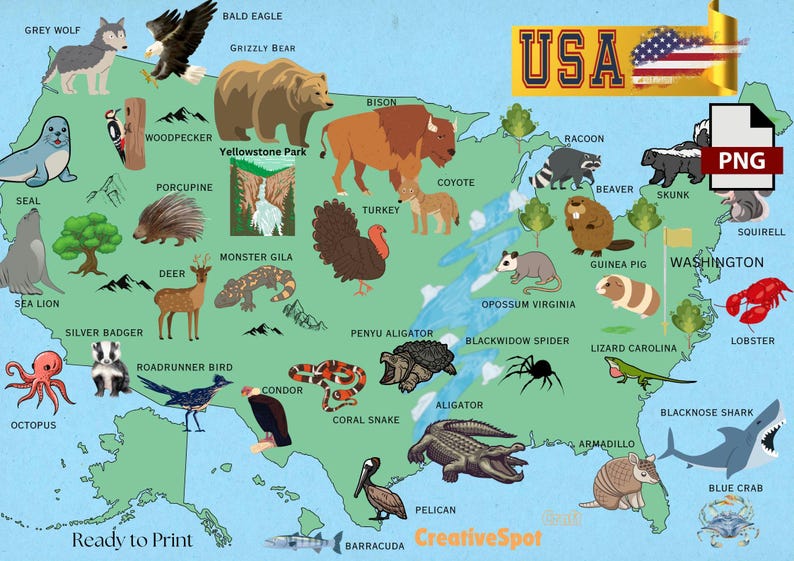 Animal Atlas of America Poster and Flashcards. Montessori. Printable ...