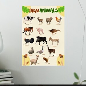 Farm Animals Poster and Flashcards. Montessori. Printable Poster for ...