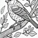 Singing Birds Coloring Book. Instant Download PDF Colouring Printable ...