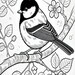 Singing Birds Coloring Book. Instant Download PDF Colouring Printable ...