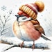 Winter Bird Clip Art Set 10 High Res Watercolor Jpgs for Junk ...