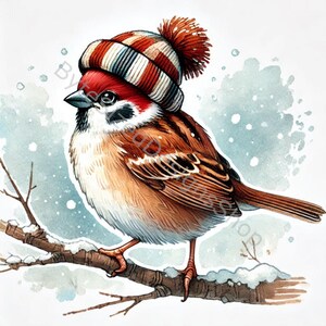 Winter Bird Clip Art Set 10 High Res Watercolor Jpgs for Junk ...