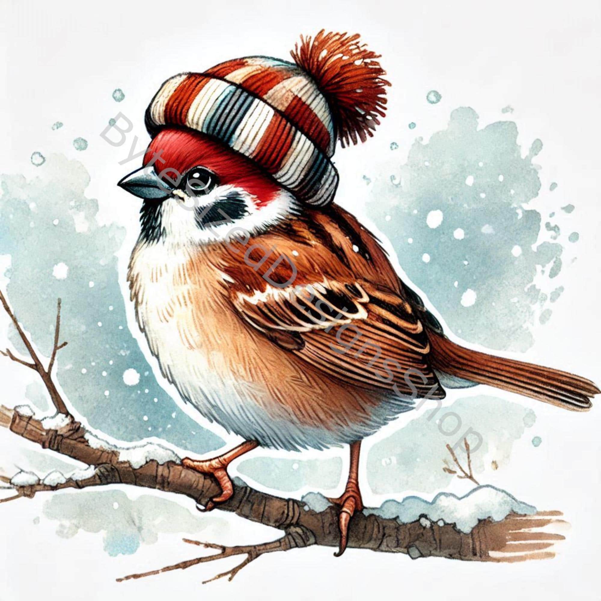 Winter Bird Clip Art Set 10 High Res Watercolor Jpgs for Junk ...