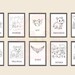 30 Wild Animal Coloring Pages for Kids, 30 Wild Animal Coloring Sheets ...