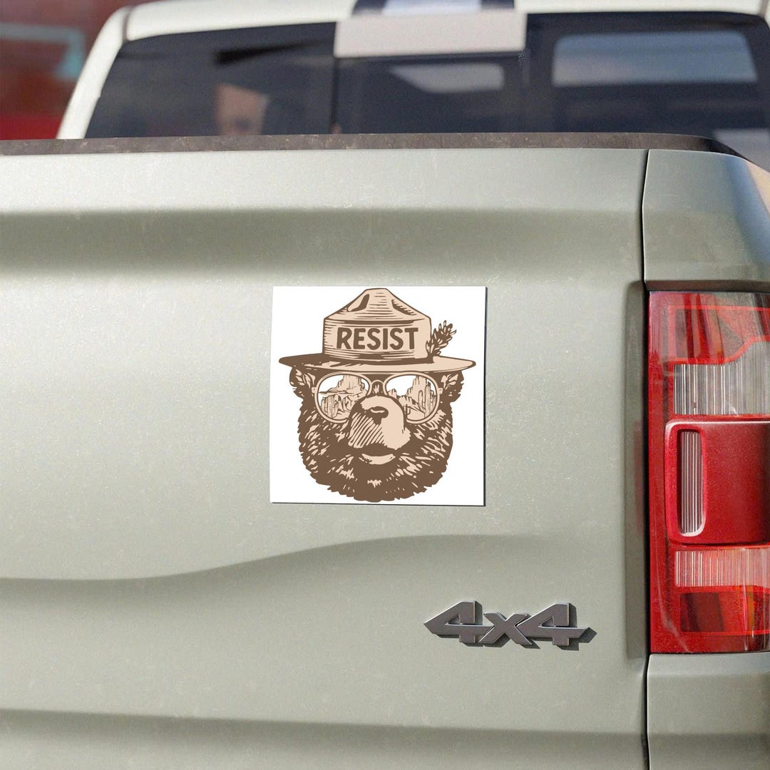 Smokey the Bear Resist Car Magnet, Bear Resist Sticker, Resist Fascism ...