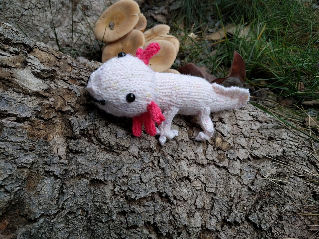 Augie the Axolotl Toy Knitting Pattern PDF - Etsy