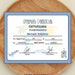 Buy Custom First Flight Certificate for Boys | Editable PDF Template ...