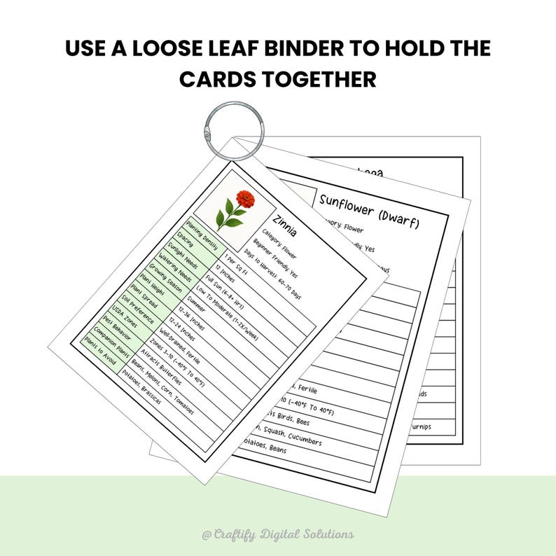 Gardening Flashcards: 150+ Plant Guide Cards - Companion Planting (PDF ...