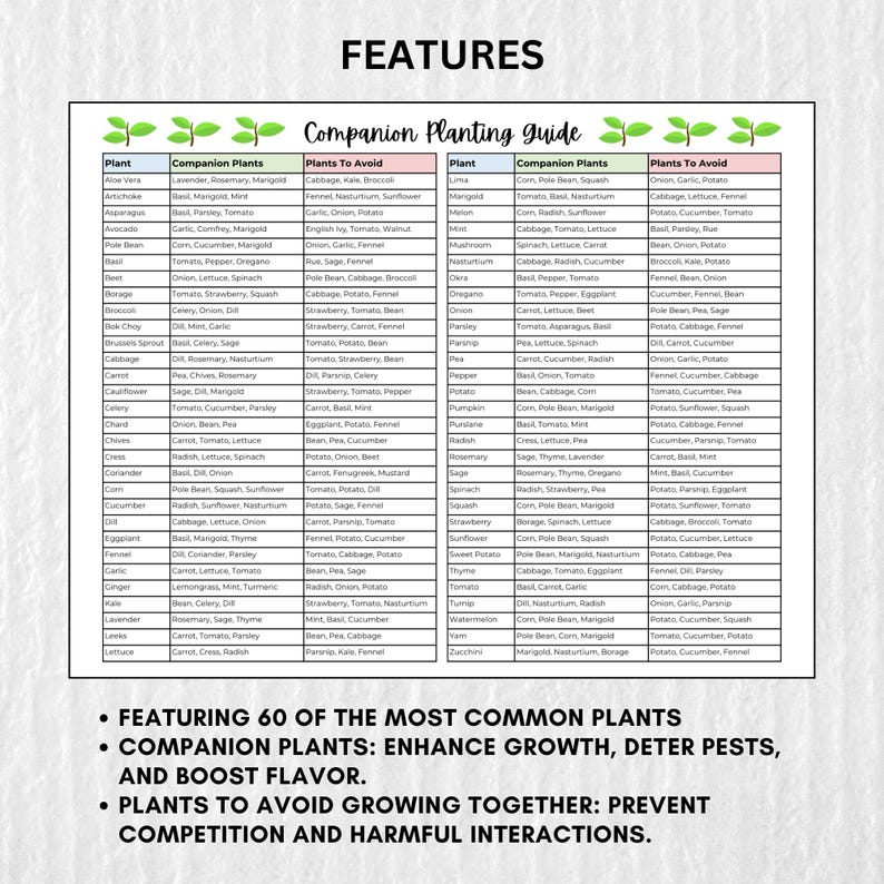 Companion Planting Guide: US Garden Planner (digital PDF) - Etsy