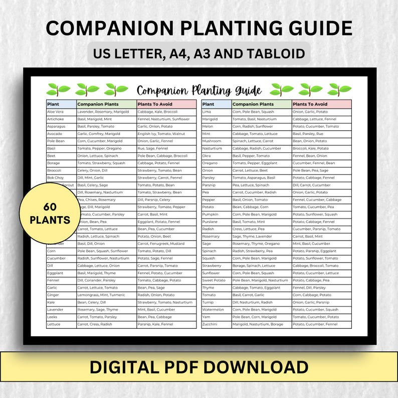 Companion Planting Guide: US Garden Planner (digital PDF) - Etsy
