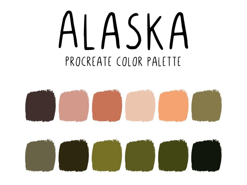 Procreate Color Palette - 50 States - Alaska - Etsy