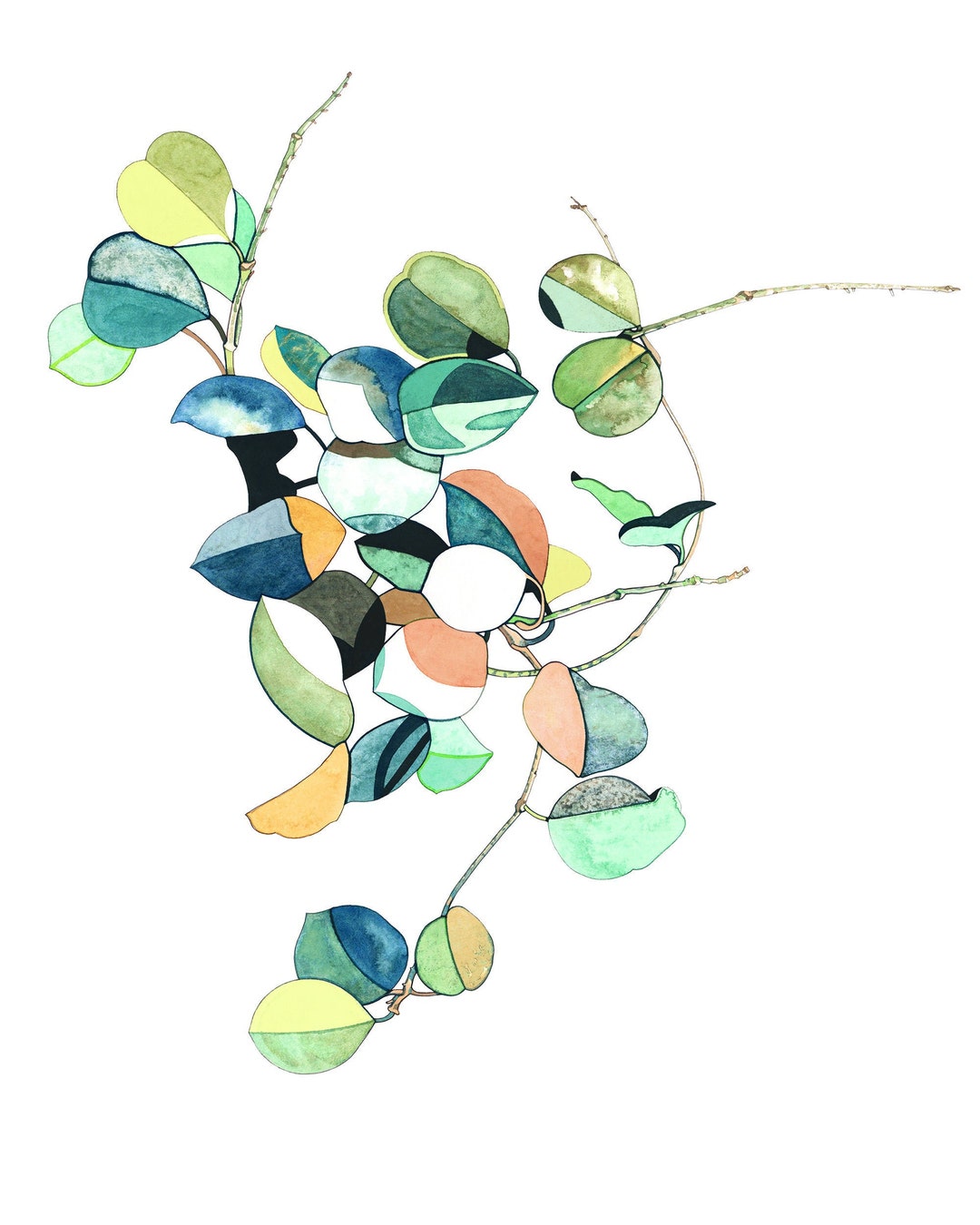 HOYA 1 (giclée Print of Original Watercolor Painting Illustration Wall ...