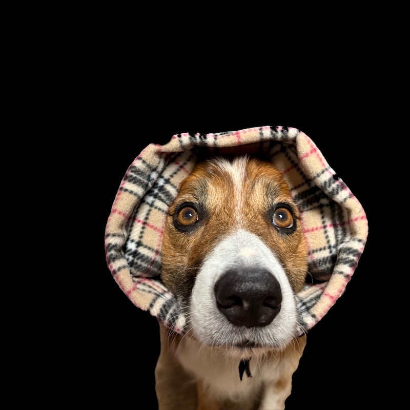 Fireworks and Anxiety - Etsy