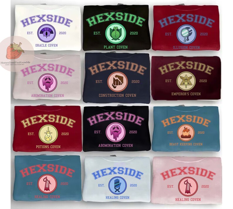 The Owl House Tshirt Hexside School of Magic and Demonics - Etsy