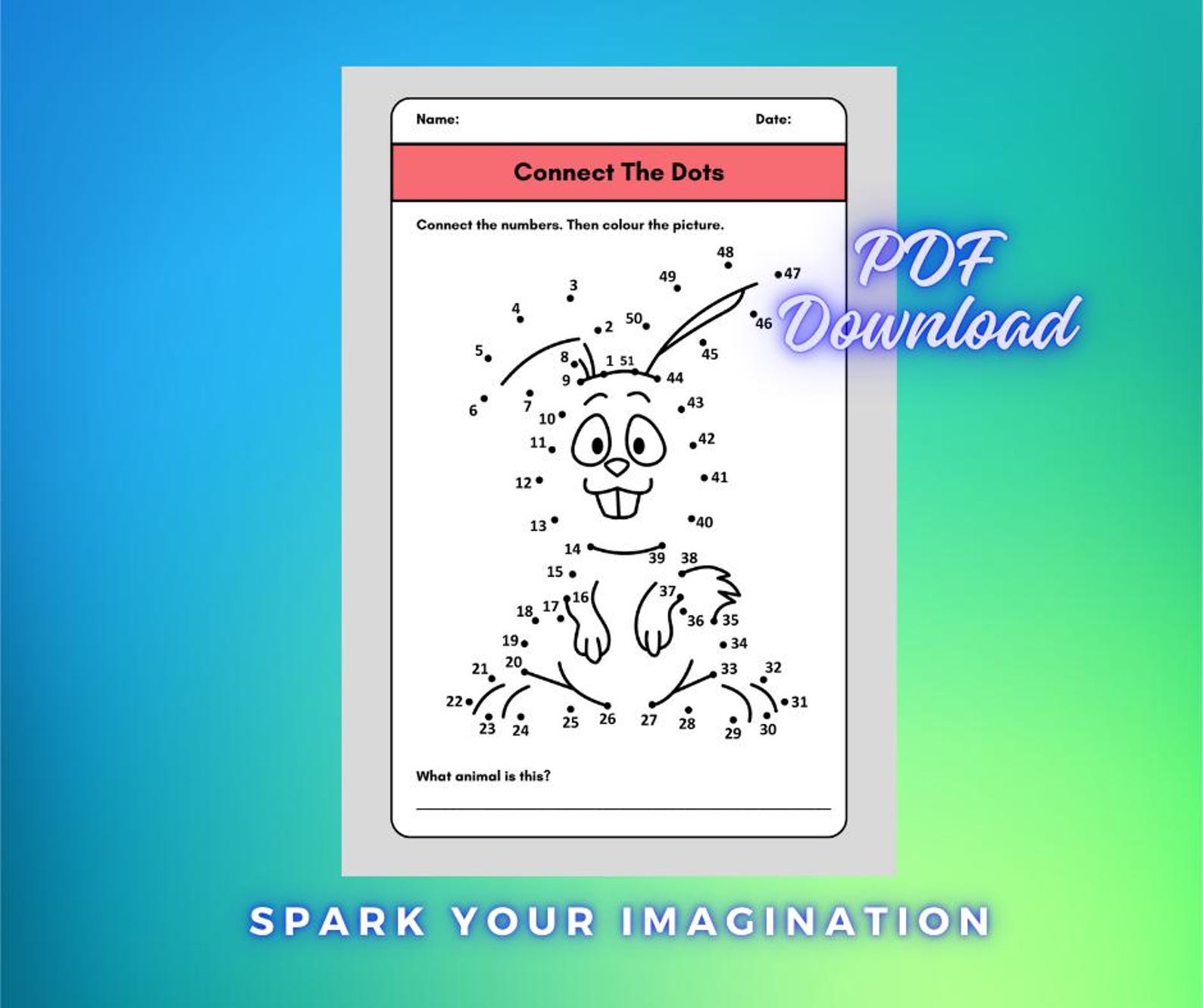 Colourful Dot to Dot Activity Worksheet Cute Animal Worksheet - Etsy