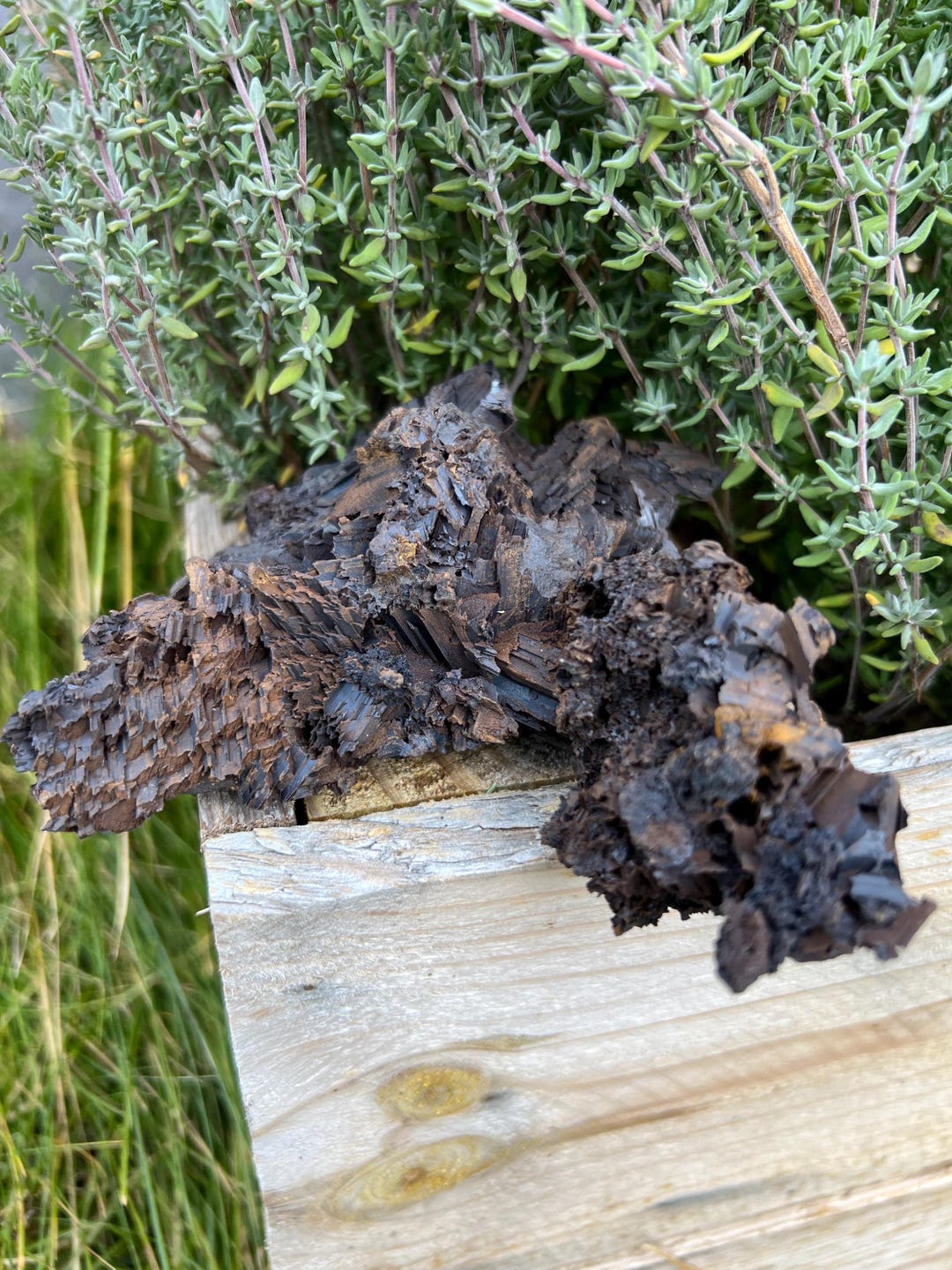Goethite After Selenite Potosí Mine Santa Eulalia Chihuahua Mexico - Etsy