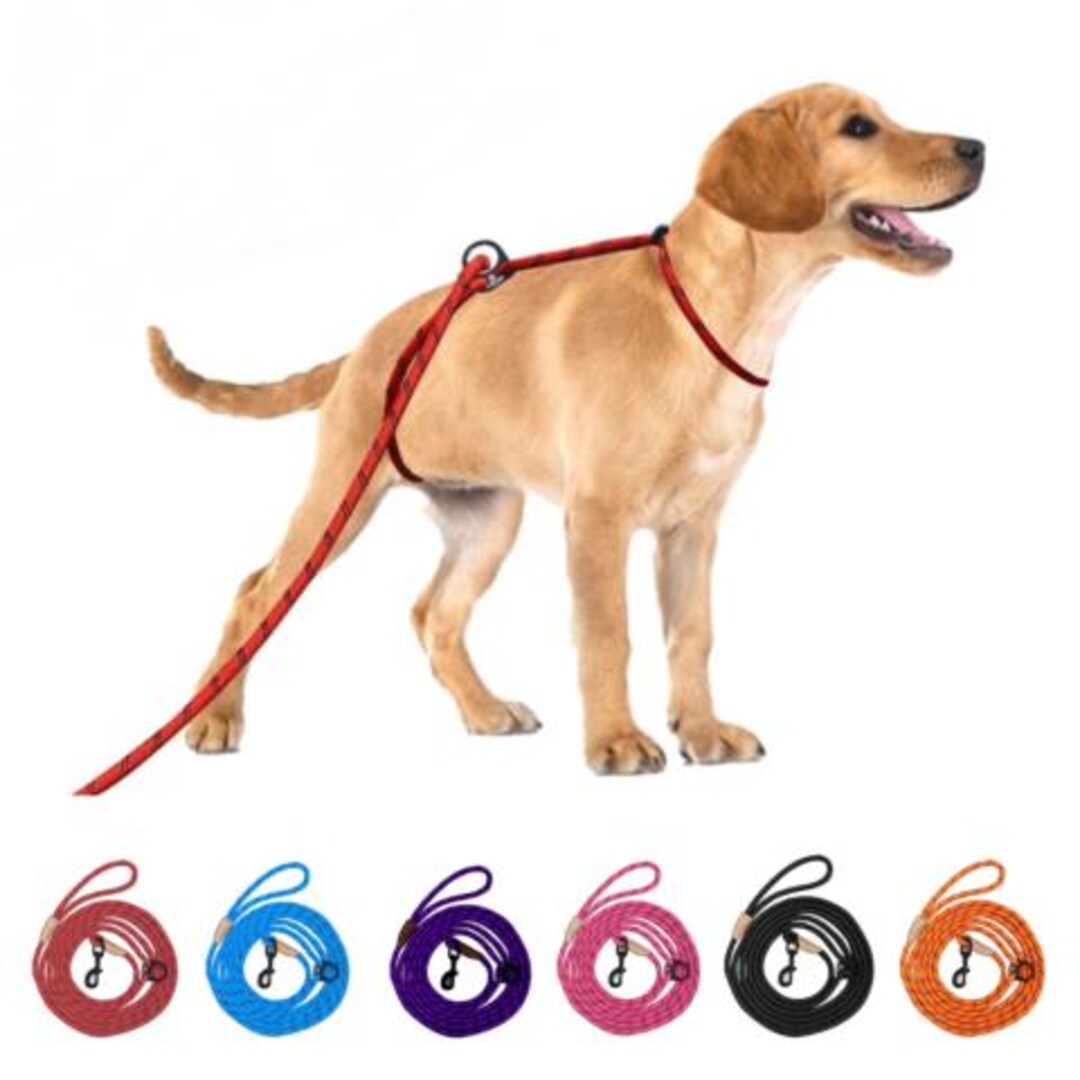 YOKUM GEAR 12ft No Choke Leash Long Rope Dog Leash, Anti Pulling Dog ...