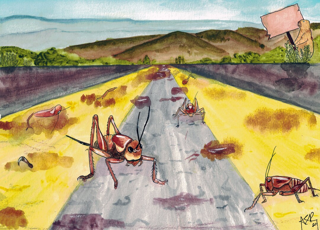 Mormon Cricket Invasion 1 Digital Download - Etsy