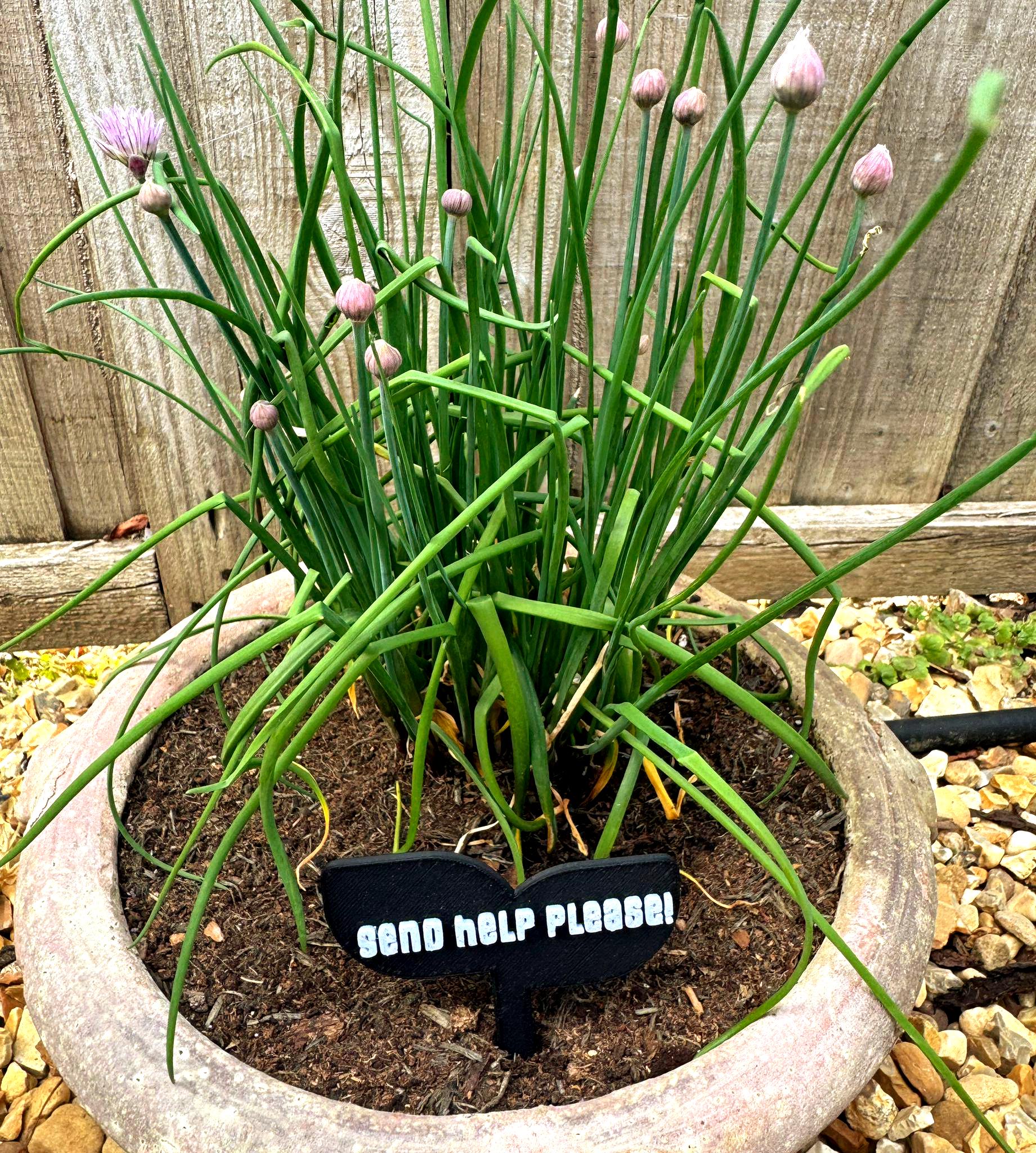 Funny Plant Labels – 3D Printed Garden Markers for Indoor or Outdoor ...