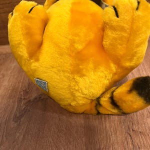 Garfield Hugging Pooky Dakin 1983 Plush 11” Rare EUC! - Etsy