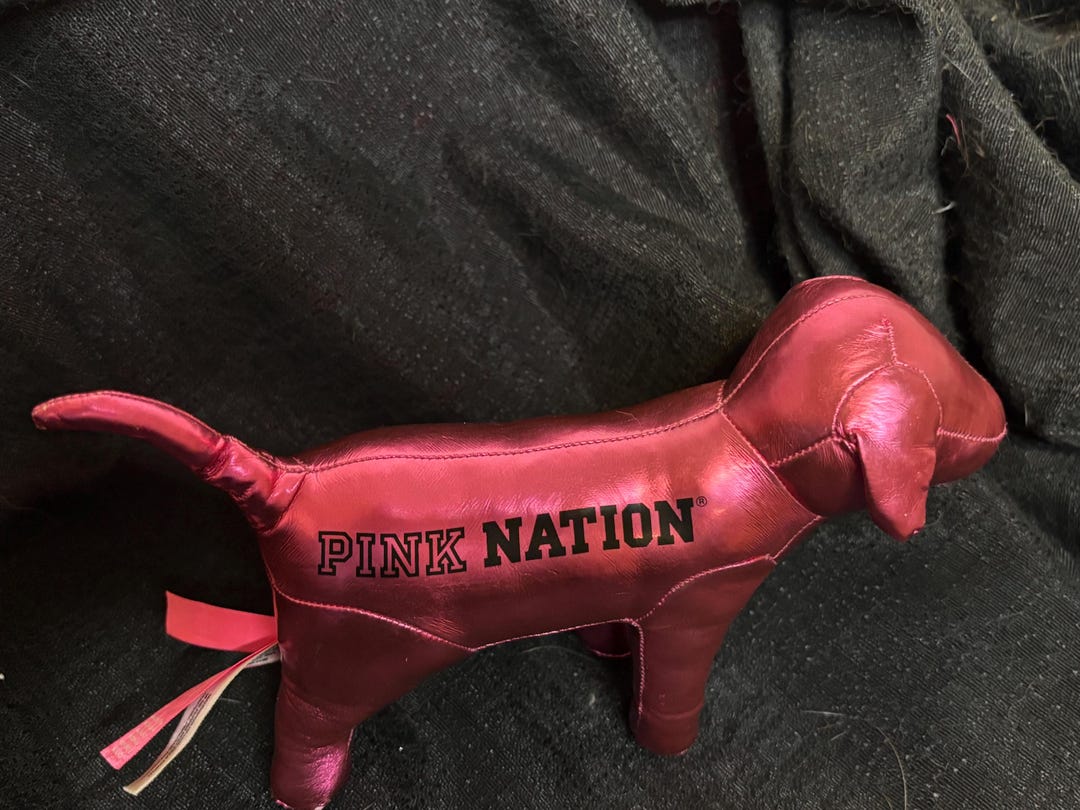 Victoria’s Secret Pink Dog Plush *RARE* - Etsy