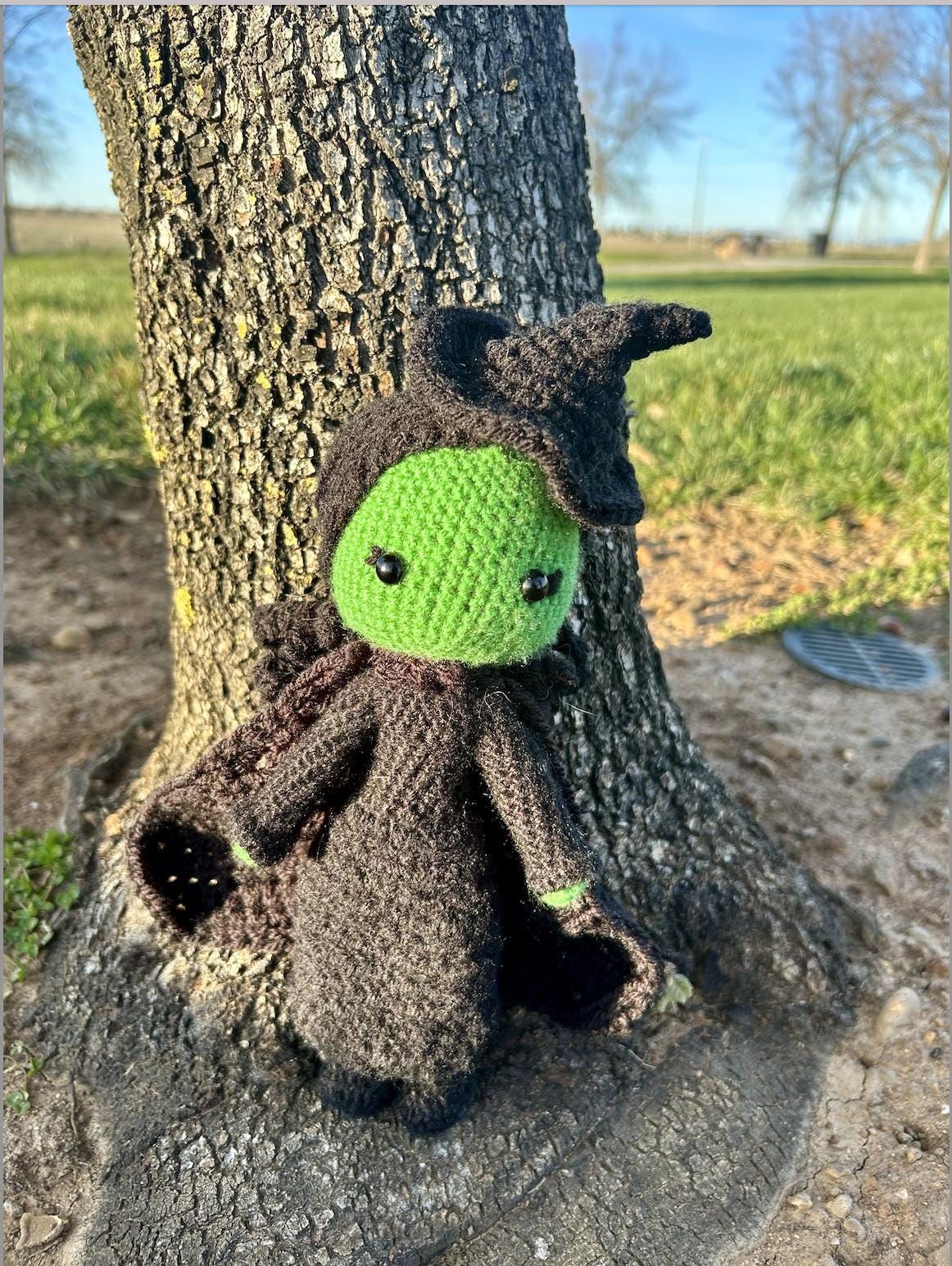 Wicked Inspired Crochet | Glinda and Elphaba | Gelphie | Wicked Witch ...