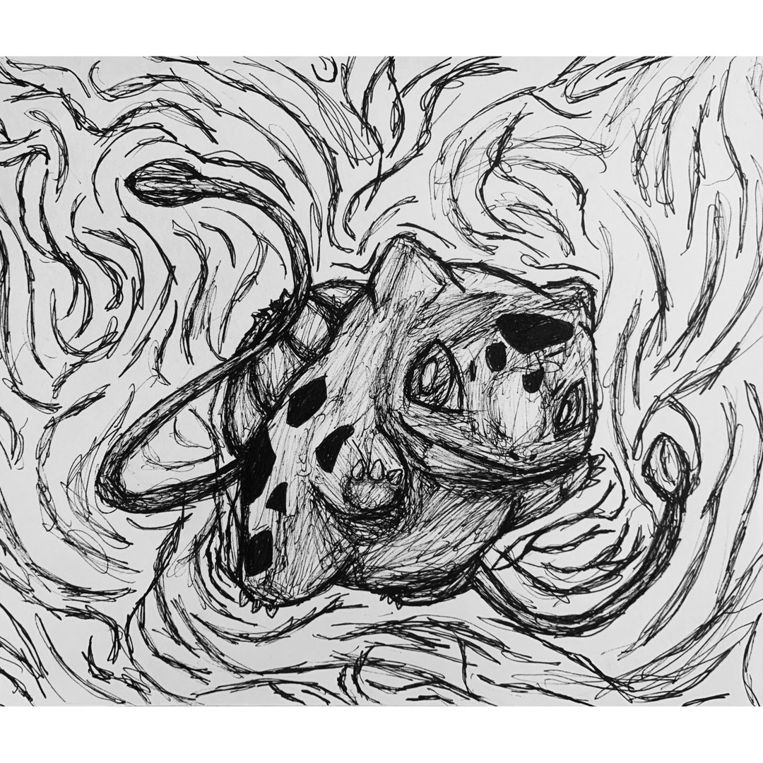 Onion Turtle & Co. - Etsy