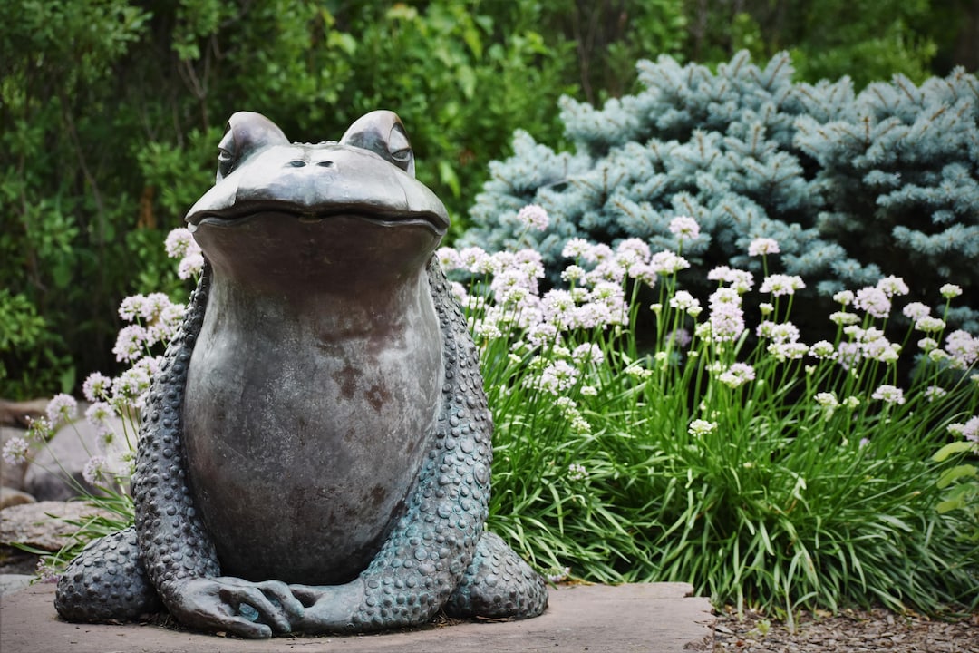 Bullfrog Sculpture - Etsy