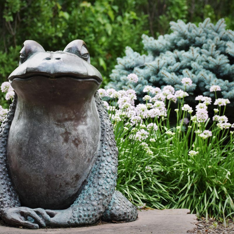 Bullfrog Garden Decor - Etsy
