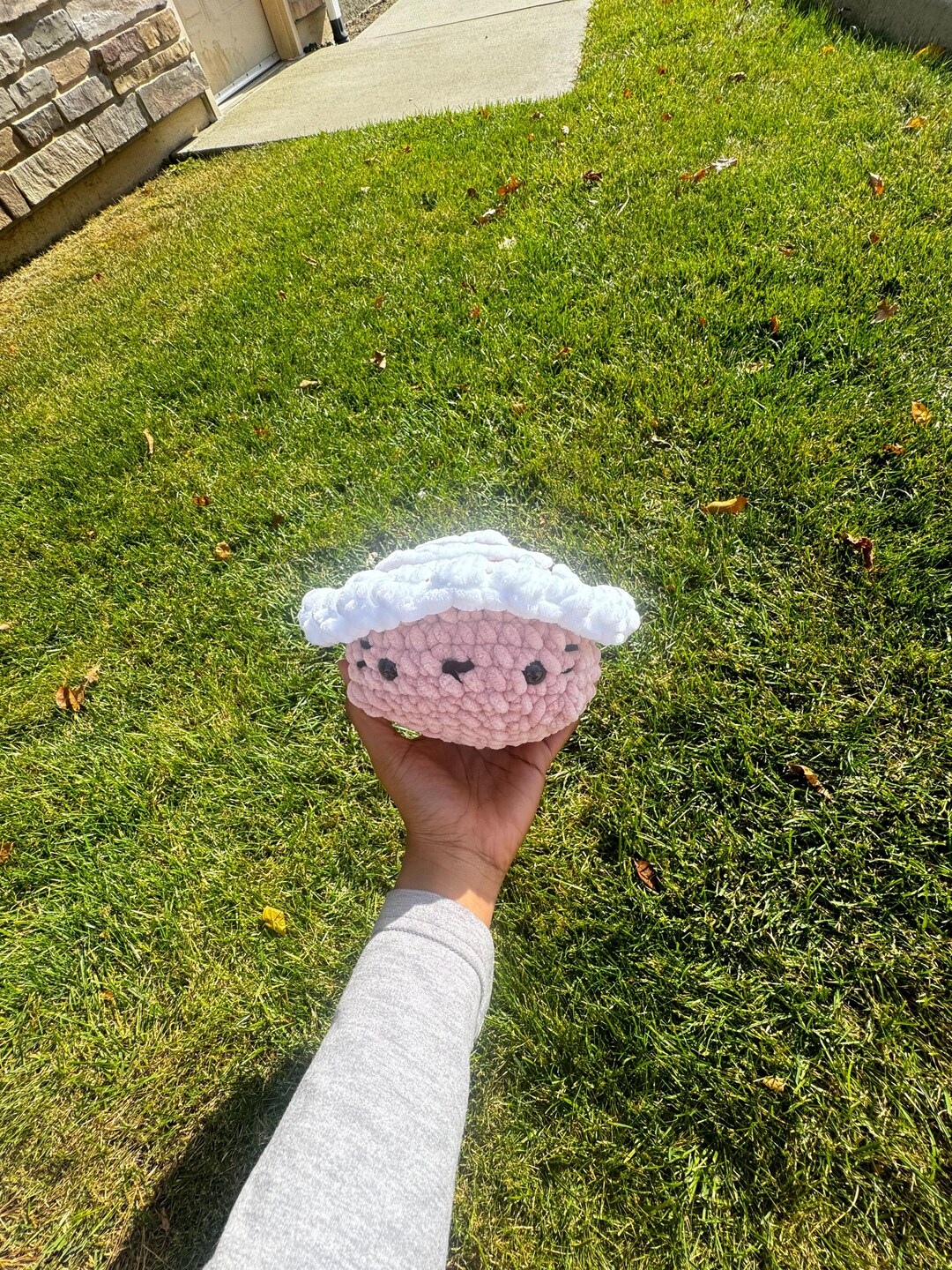 Cinnamon Roll Cat - Etsy