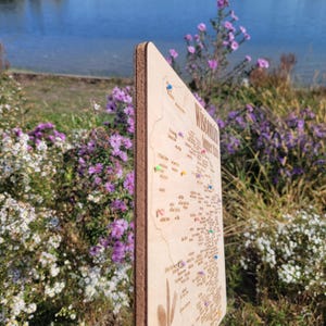 Wisconsin Supper Clubs Map- Track Your Adventures Using Push Pins to ...