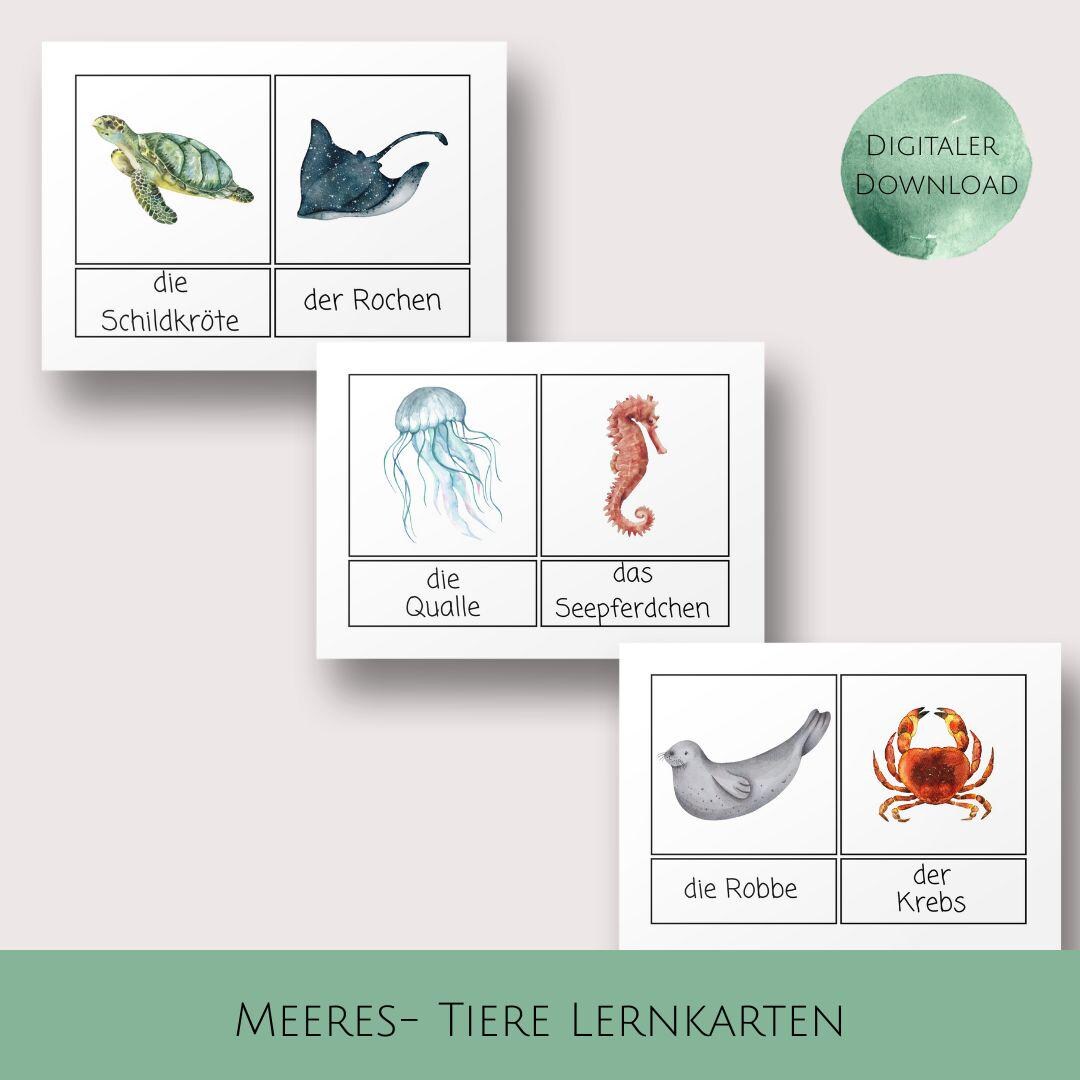 Sea Animals I Flashcards I Montessori I Kindergarten I Preschool I Sea ...