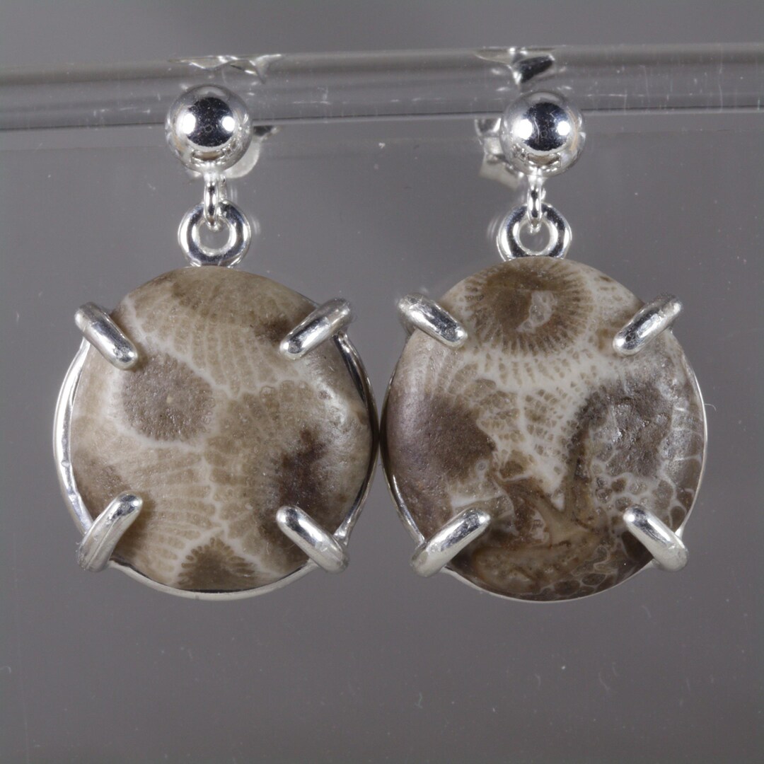 Petoskey, Michigan State Stone, From Beach & Sand Dunes, Sterling ...