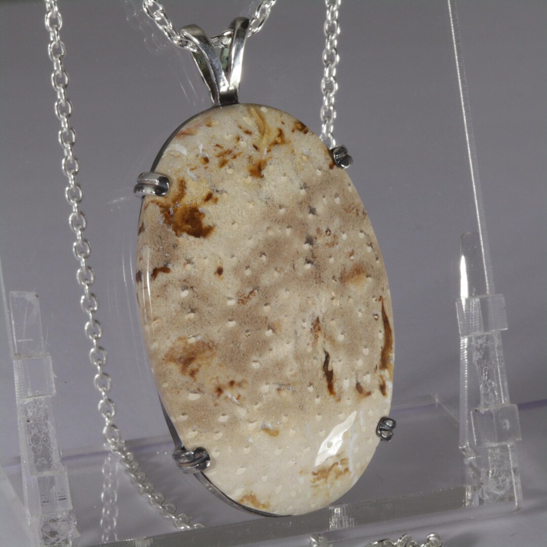 Georgia Birdseye Fossil, Agatized Palm Root From Georgia, Sterling ...