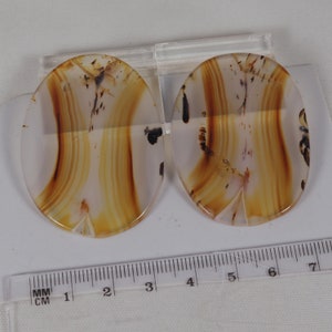 Montana Agates, Yellowstone River Agates, 2 Rough Collector Specimens ...