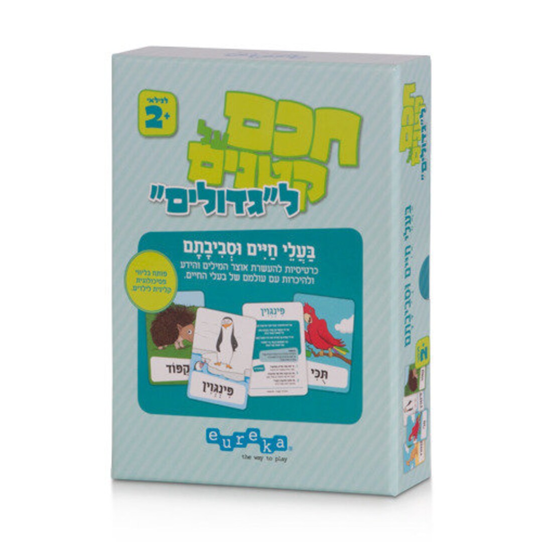 Infants Learning Hebrew With Large Cardboard Cards, a Fun Games for ...