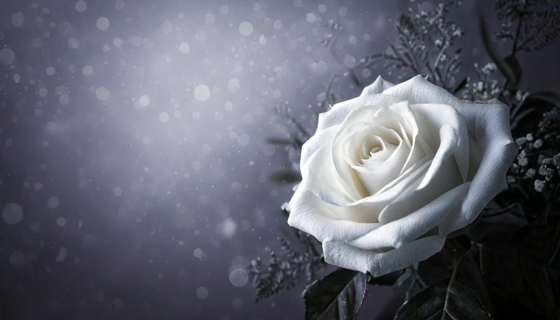 Elegant Funeral Backgrounds: Floral Memorial Card Designs (digital ...