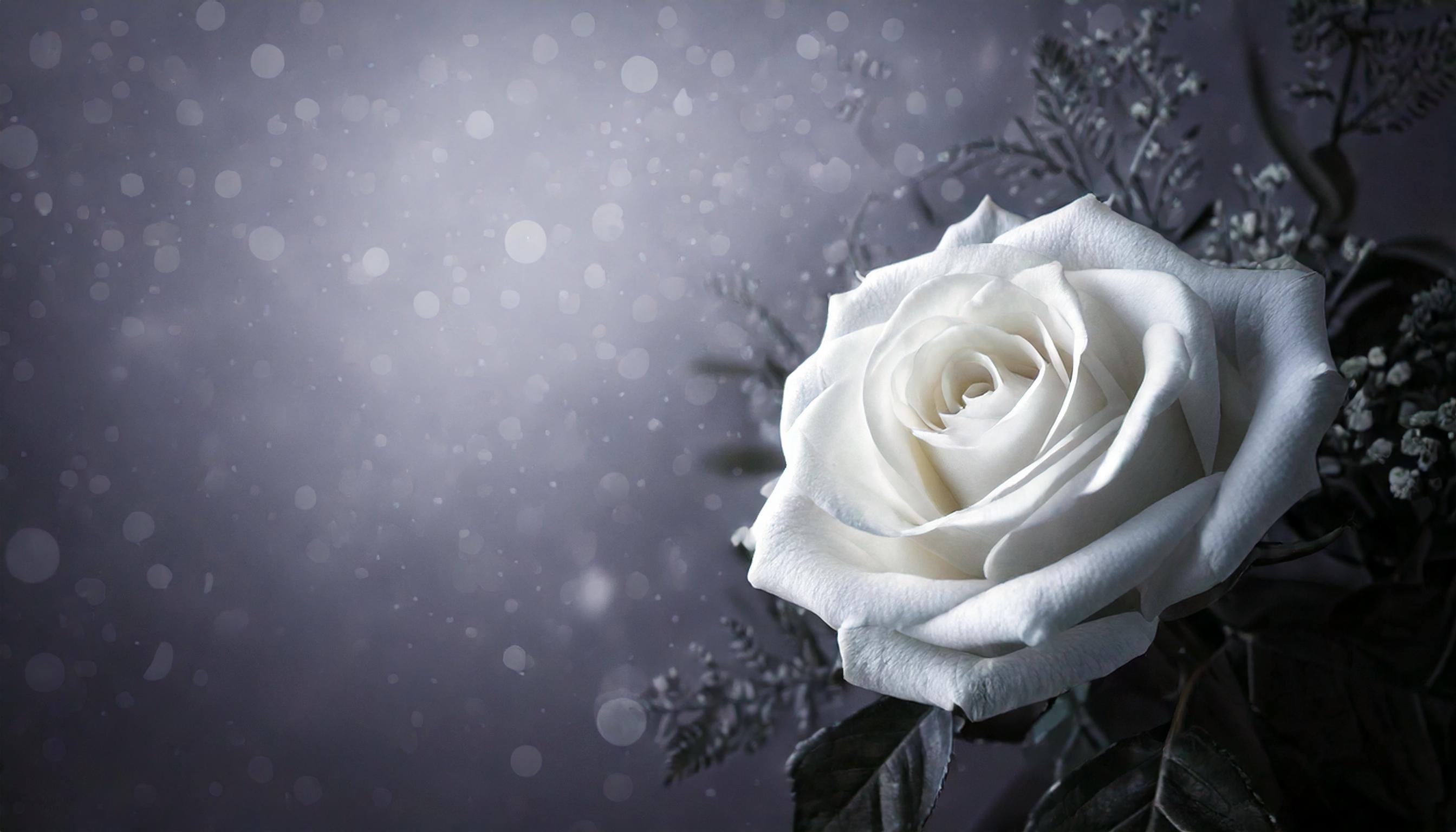 Elegant Funeral Backgrounds: Floral Memorial Card Designs (digital ...