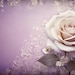 Elegant Funeral Background Designs: Floral Memorial Card Templates ...