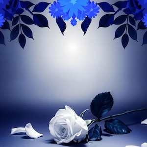 Elegant Funeral Background Images: Floral Set of 5 (digital Download ...
