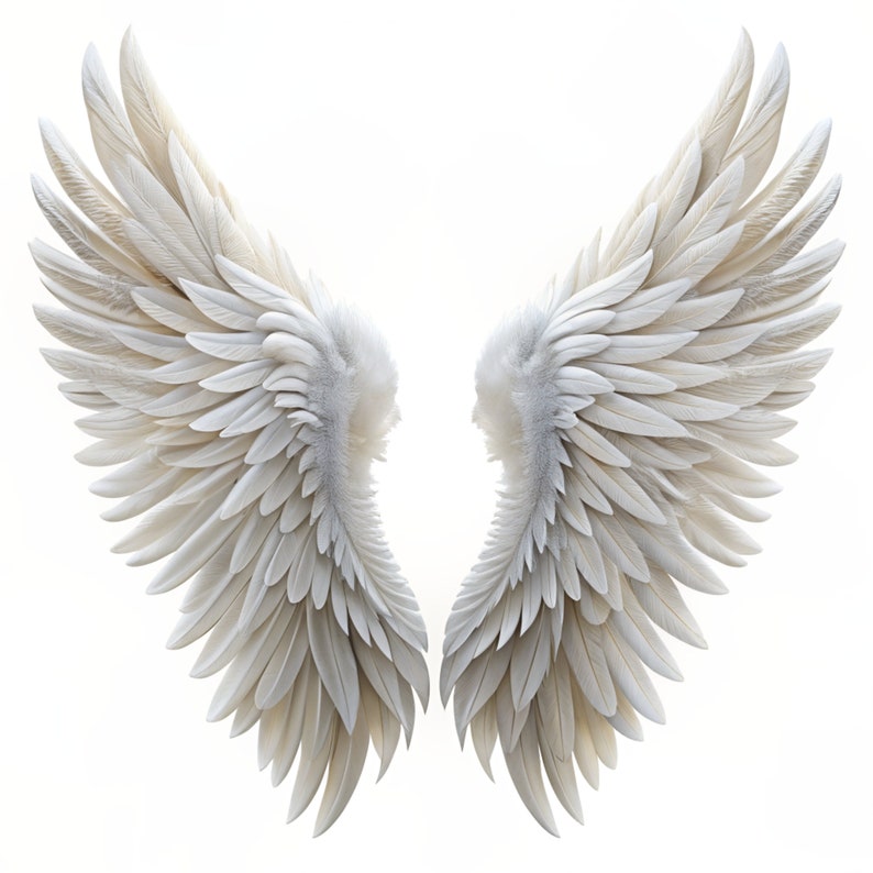 8 Angel Wings Transpernt Clipart, Halo Clipart, Heaven Clipart Bundel ...