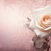 Elegant Funeral Background Designs: Floral Memorial Card Templates ...